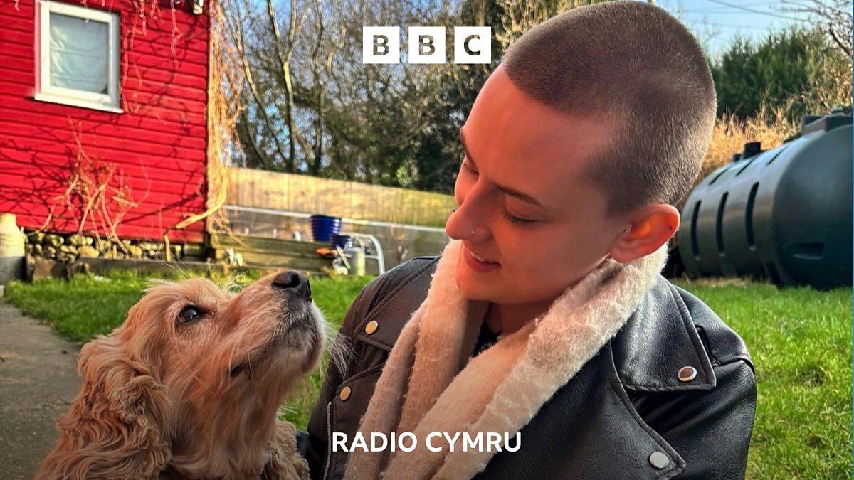 BBC Radio Cymru - Dros Ginio, Owain Llyr yn cyflwyno, Pam nad yw bod yn ...