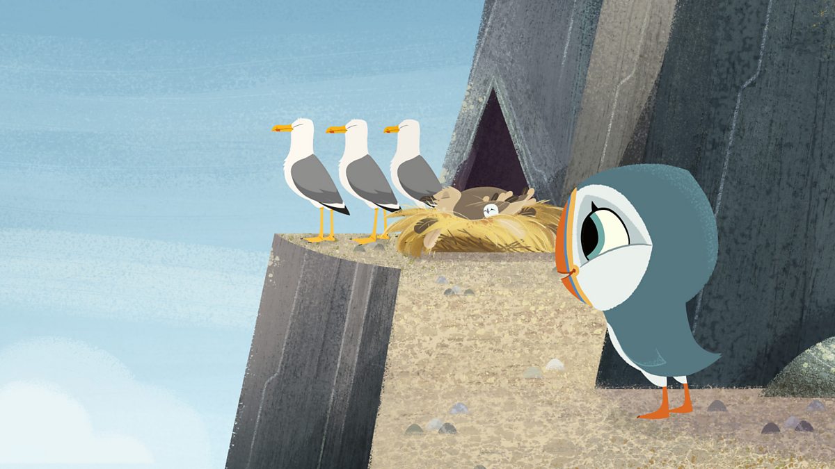 Puffin Rock - Series 1: 11. Bird Detective - BBC iPlayer