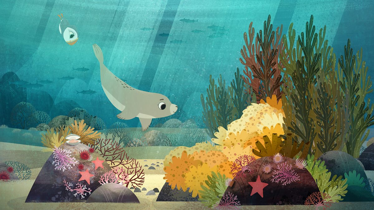 Puffin Rock - Series 1: 14. Bouncing Back - BBC iPlayer