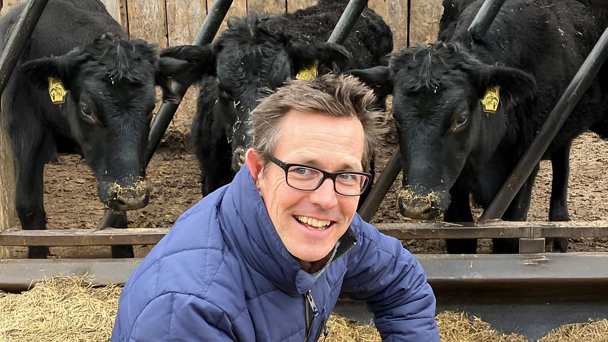 BBC Radio 4 - On Your Farm, Seeing Opportunity