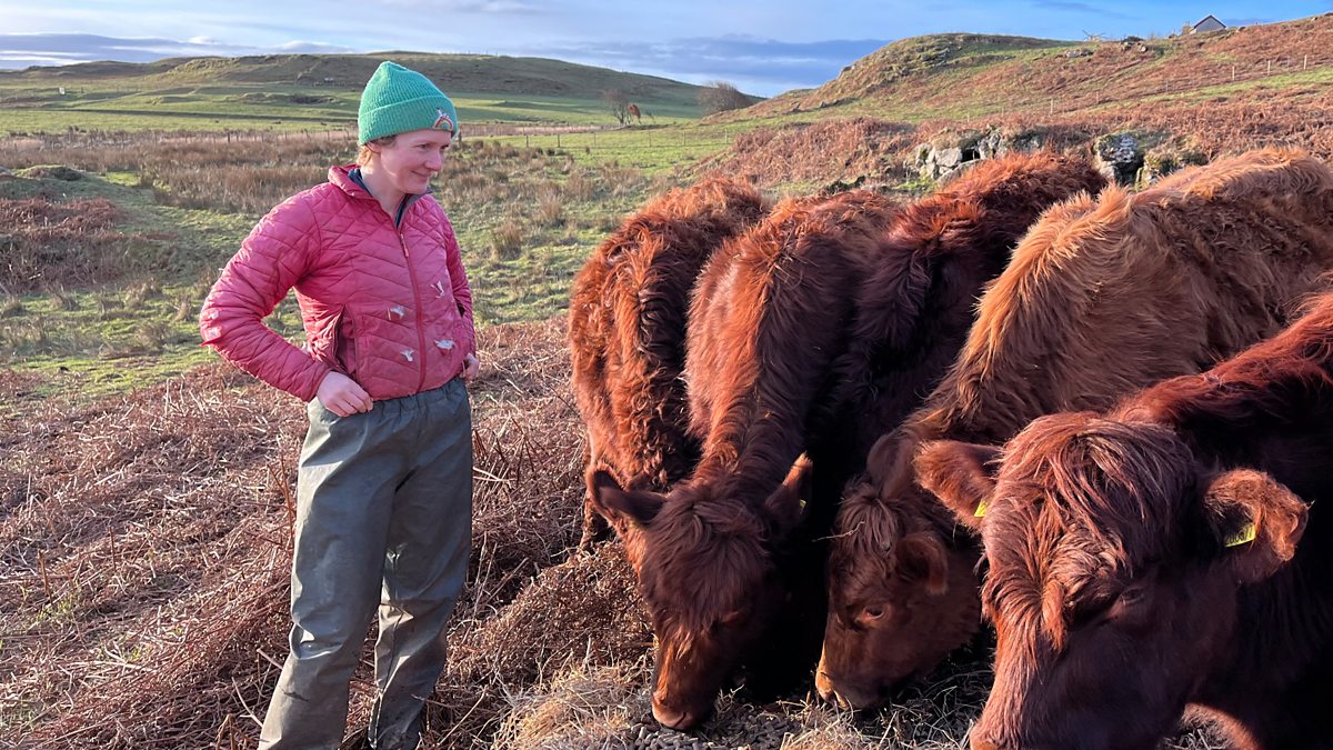 BBC Radio 4 - On Your Farm, A Eureka Moment on Eigg