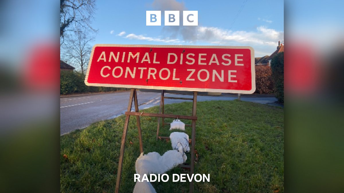 BBC Radio Devon - BBC Radio Devon, "It's the worst day I can ever imagine"