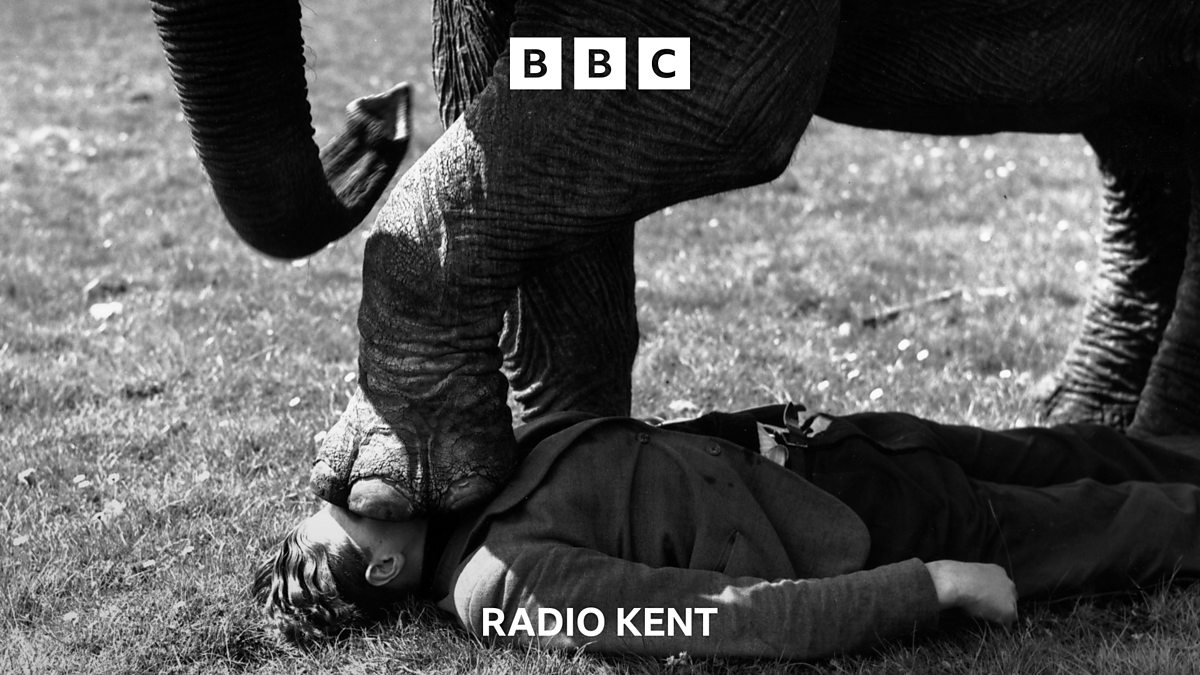 BBC Radio Kent - Secret Kent, Maidstone's forgotten zoo