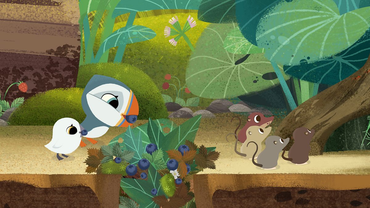 Puffin Rock - Series 1: 25. Follow the Puffin - BBC iPlayer