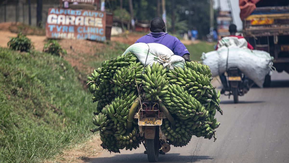 BBC World Service - Business Daily, Adding value to Ugandan bananas