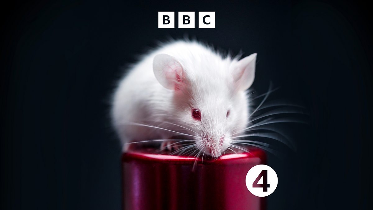 BBC Radio 4 - Lab Rats