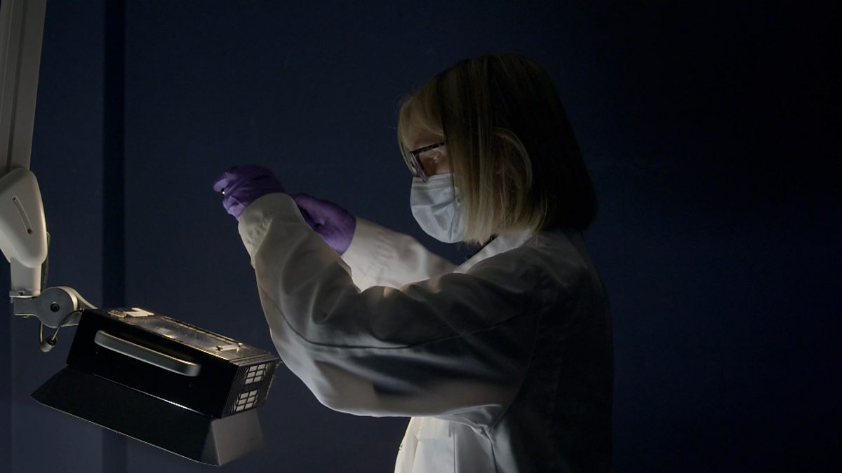 BBC Two - Forensics: The Real CSI, Series 5, A Deadly Friendship ...