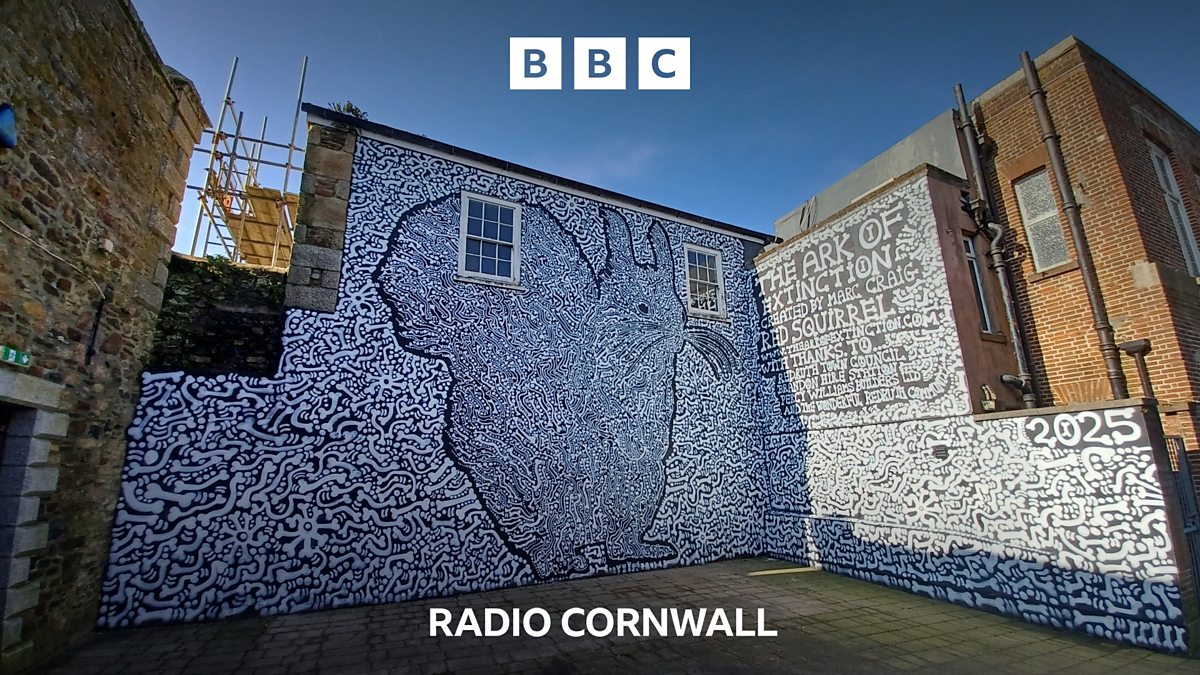 BBC Radio Cornwall - BBC Radio Cornwall, Why is there a Red Squirrel ...