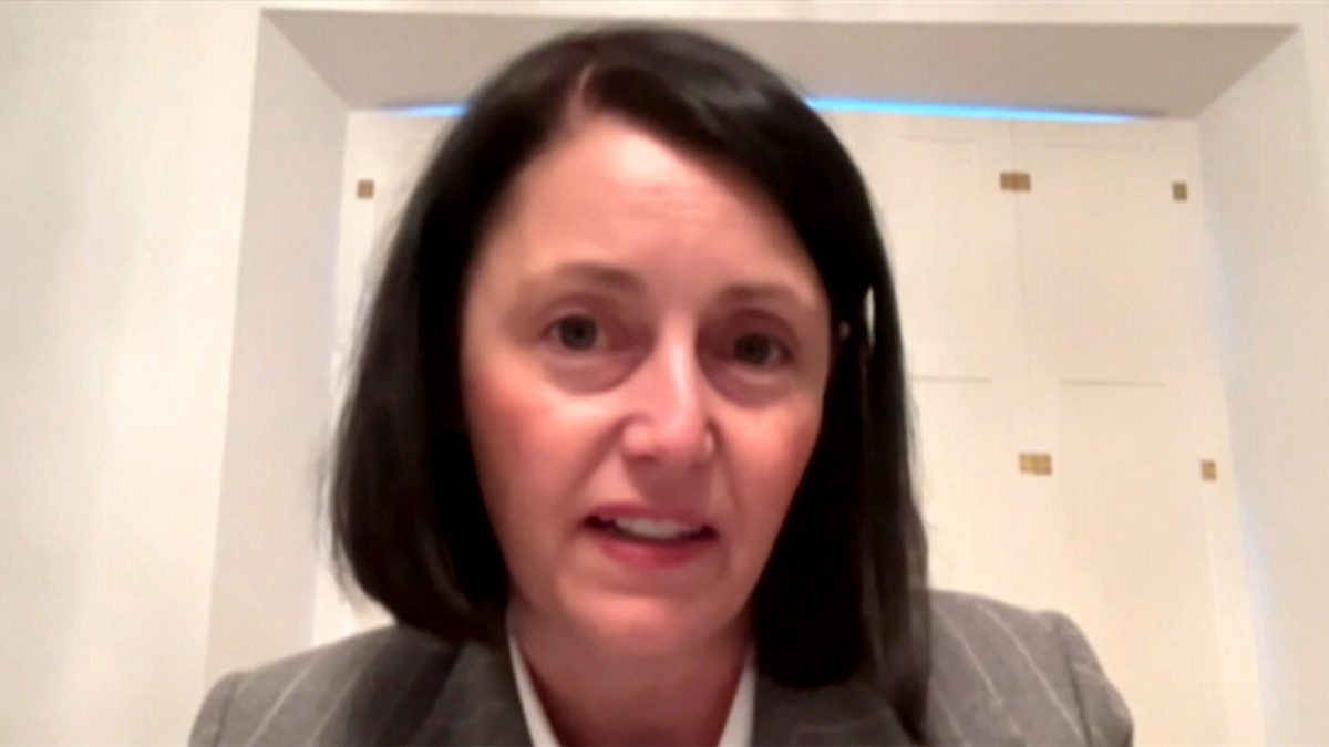 BBC Parliament - Select Committees, Joint Committee on the National ...