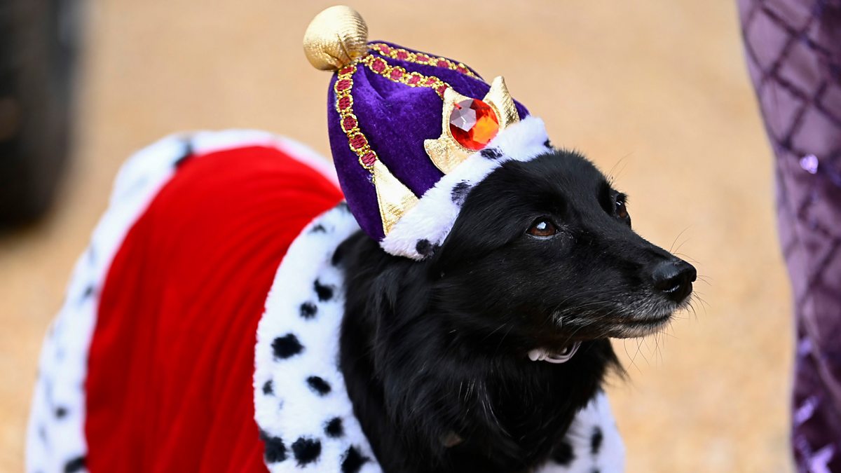 BBC Three - The Traitors US, Series 3, The Day of Reckoning Is Upon Us