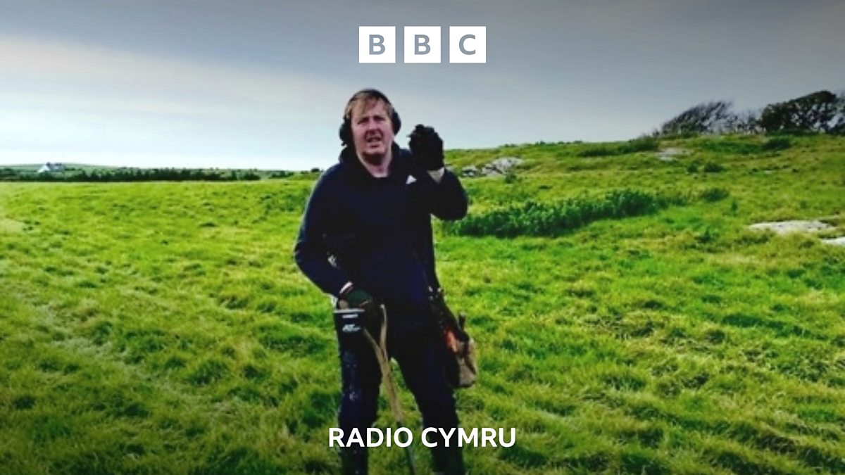 BBC Radio Cymru - Dros Ginio, Rhodri Llywelyn yn cyflwyno, Canfod ...