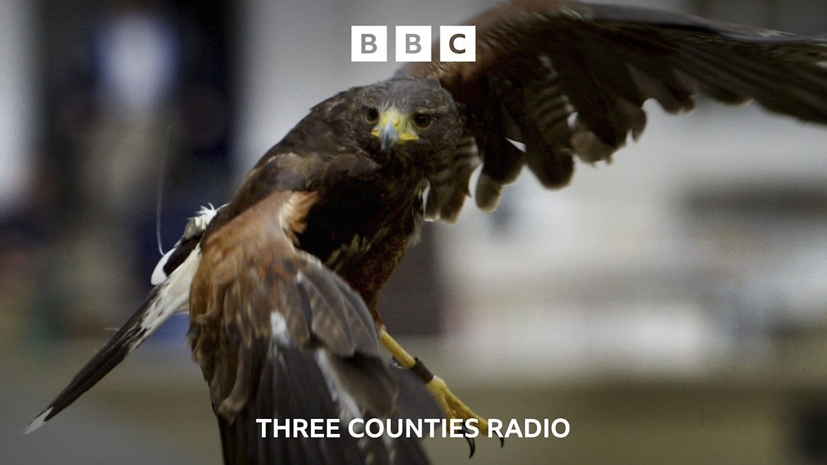 BBC Three Counties Radio - BBC Three Counties Radio, Flamstead menaced ...