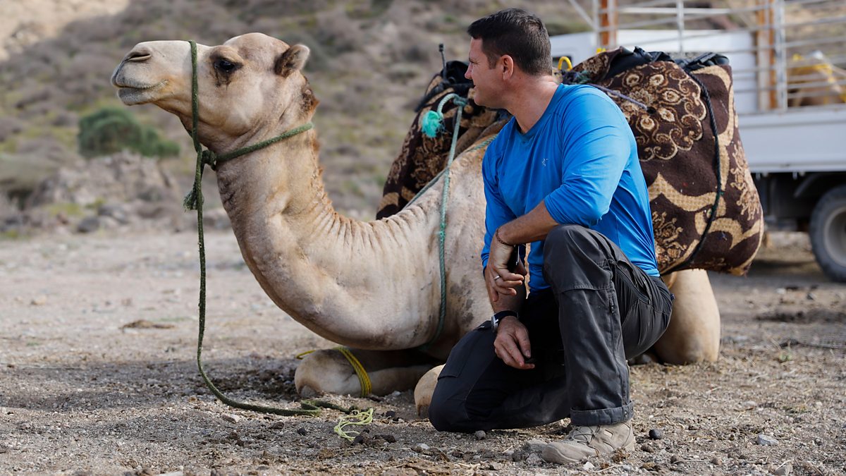 Expedition with Steve Backshall - Series 1: Episode 5 - BBC iPlayer