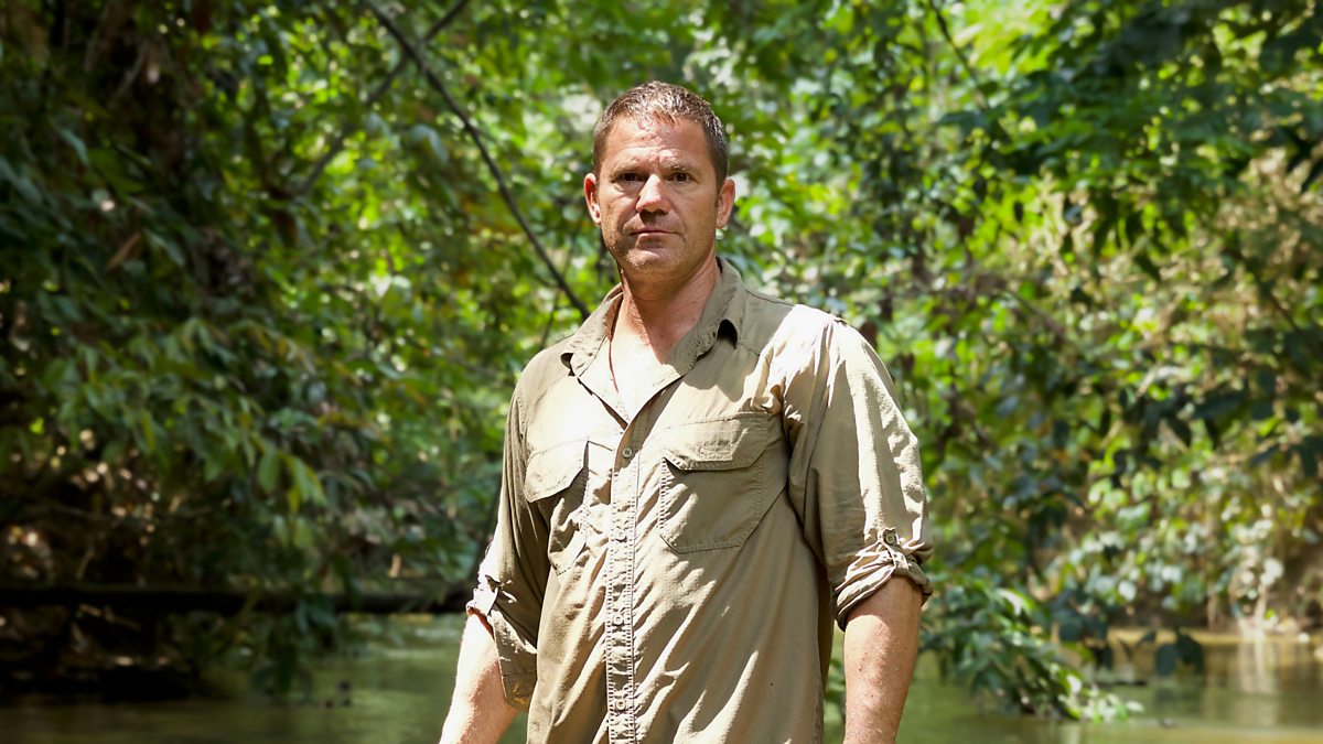 Expedition with Steve Backshall - Series 1: Episode 6 - BBC iPlayer