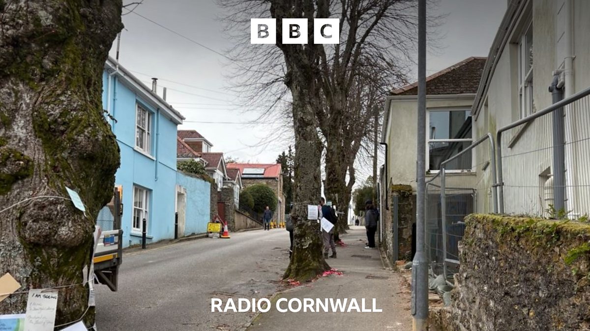 BBC Radio Cornwall - BBC Radio Cornwall, Work to chop down 3 trees in Falmouth called off