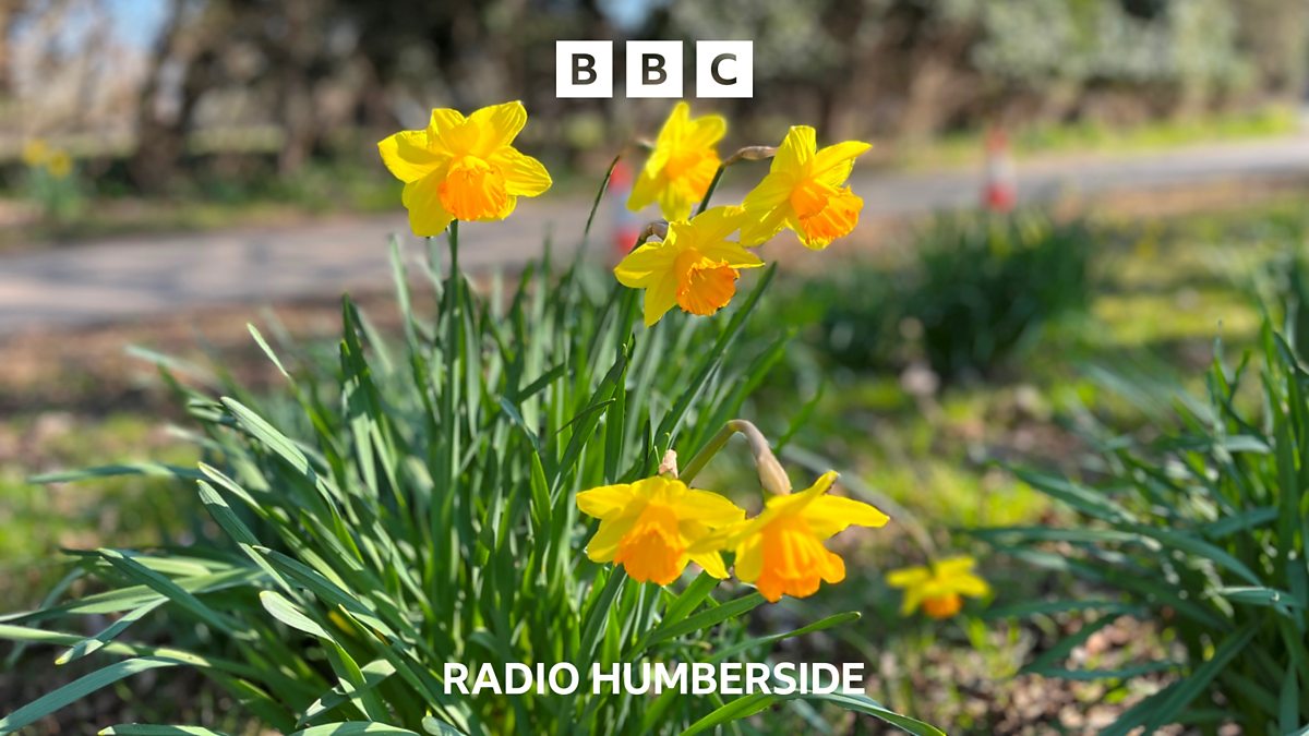 BBC Radio Humberside - BBC Radio Humberside, So when does spring ...
