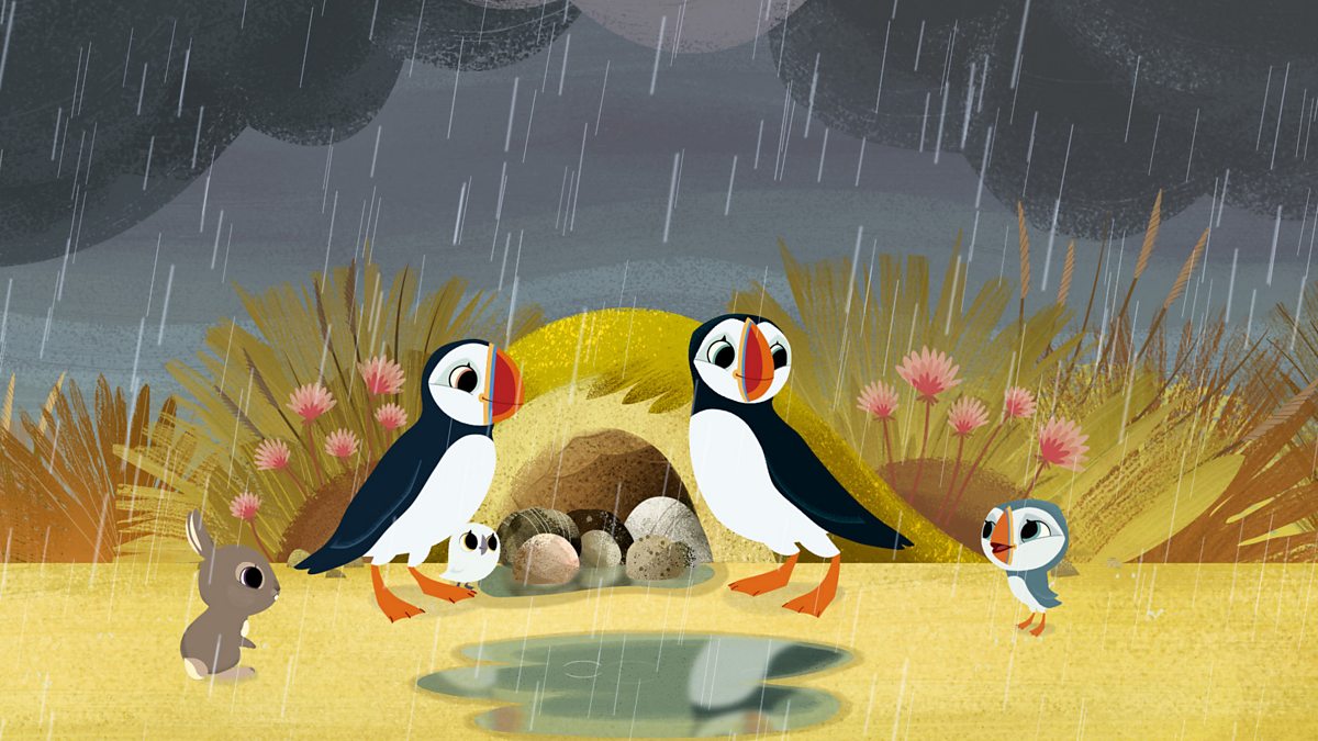 Puffin Rock - Series 1: 38. Flooded Burrow - Audio Described - BBC iPlayer