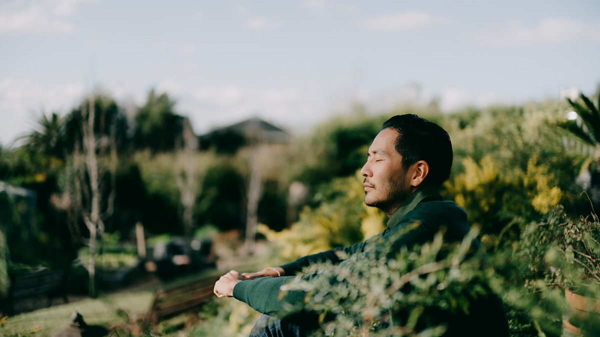 BBC Radio 4 - Why Do We Do That? - Why does nature make me feel calmer?
