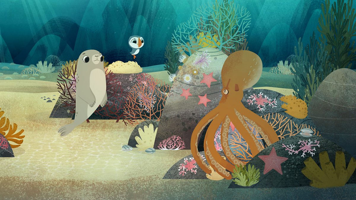 Puffin Rock - Series 2: 4. Silky and the Octopus - BBC iPlayer
