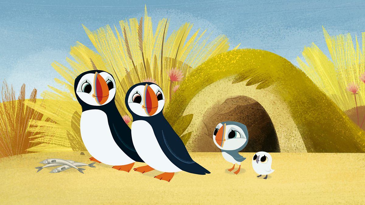 Puffin Rock - Series 2: 6. The Great Gull - BBC iPlayer