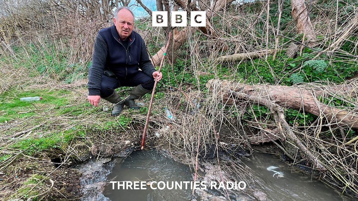 BBC Three Counties Radio - BBC Three Counties Radio, ‘Terrible’ sewage ...