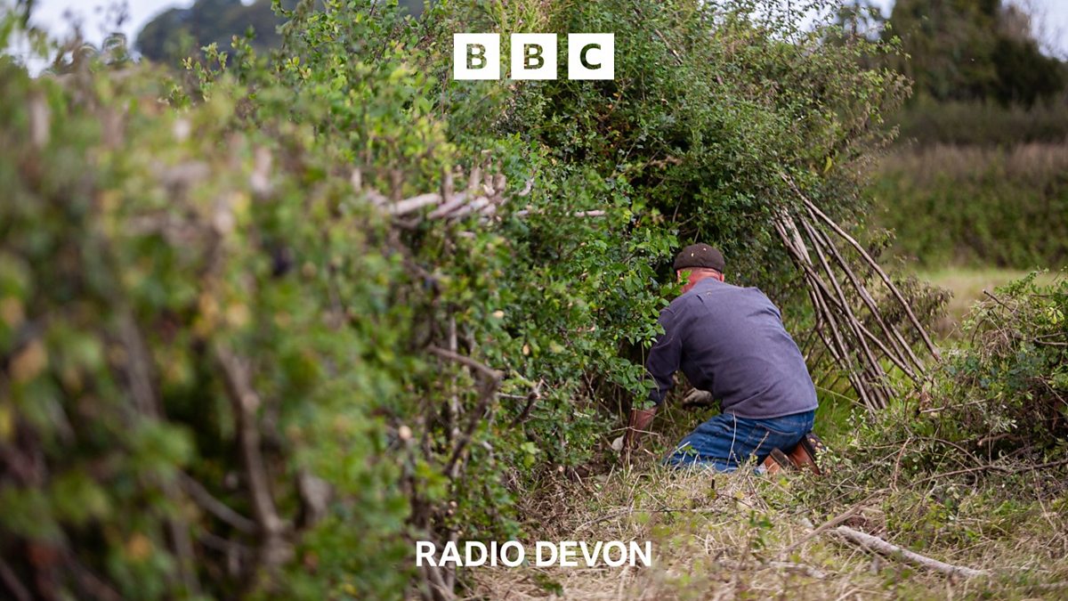 BBC Radio Devon - Secret Devon, Do we still need traditional hedgerows ...