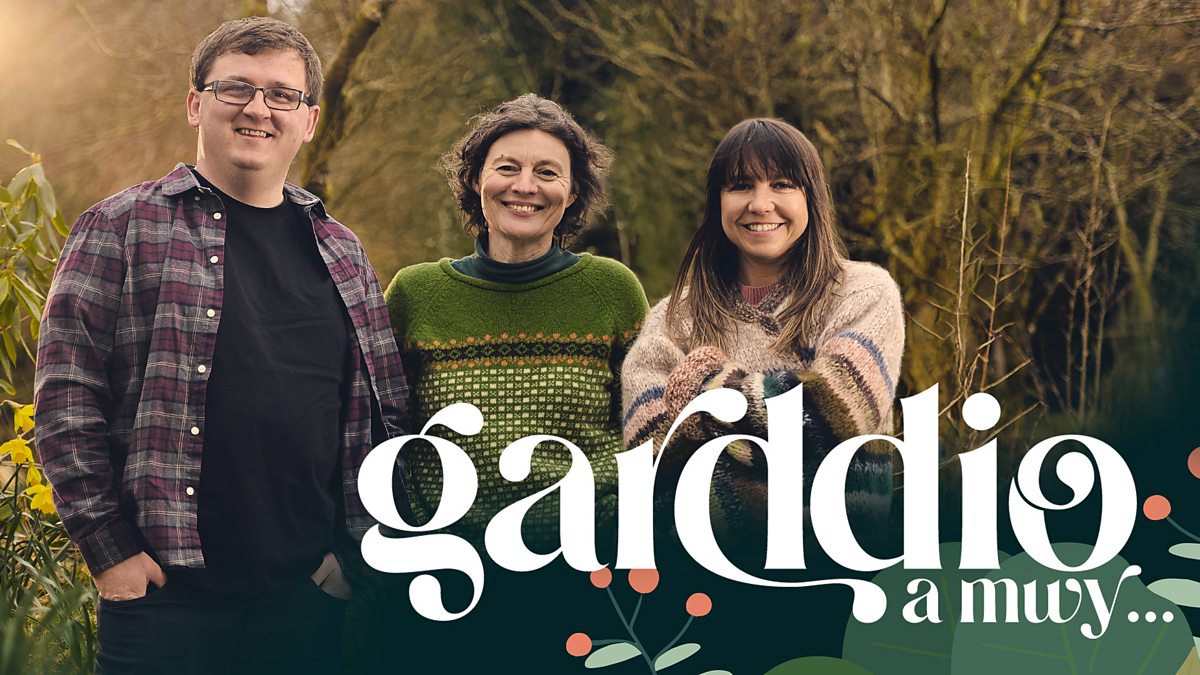 Garddio a Mwy - Cyfres 2025: Pennod 11 - BBC iPlayer