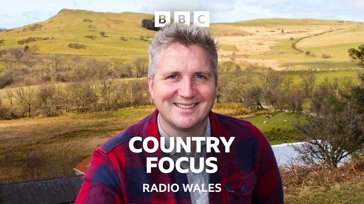 BBC Radio Wales - Country Focus, 01/10/2025