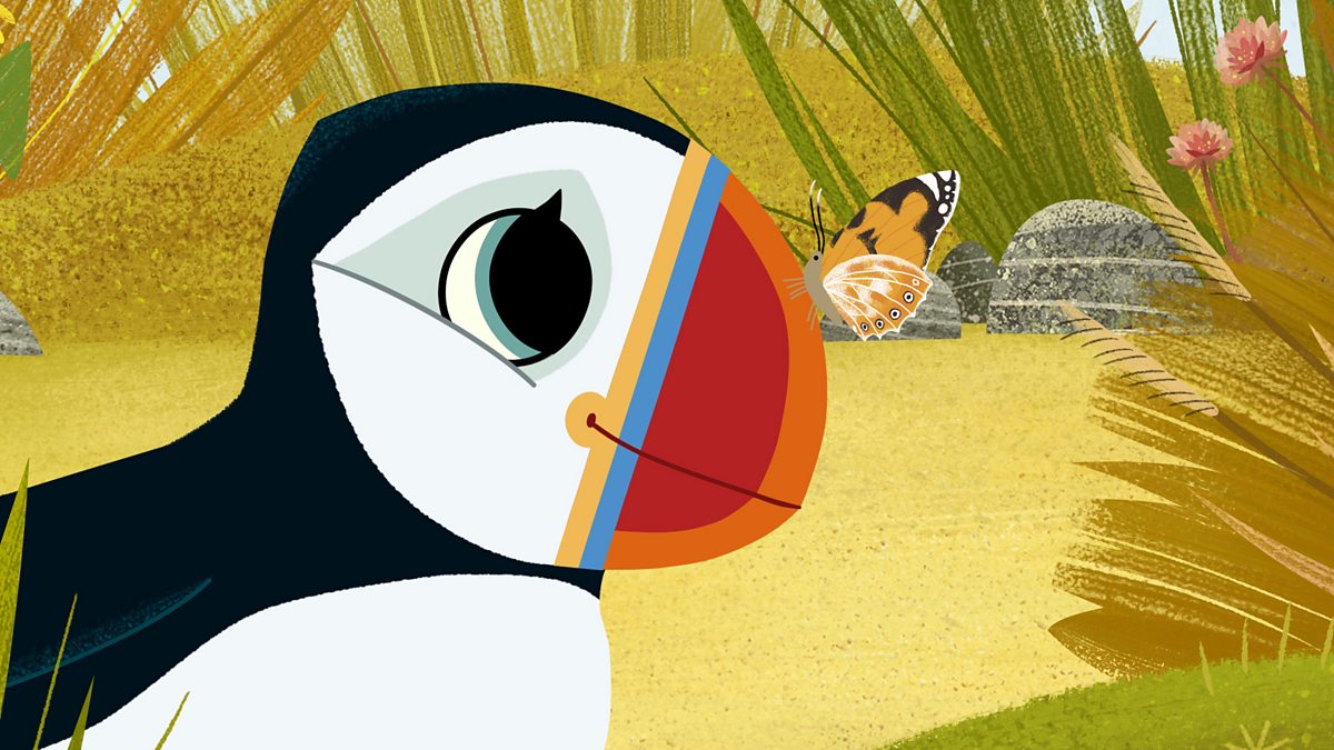 Puffin Rock - Series 2: 8. The Puffin Way - BBC iPlayer