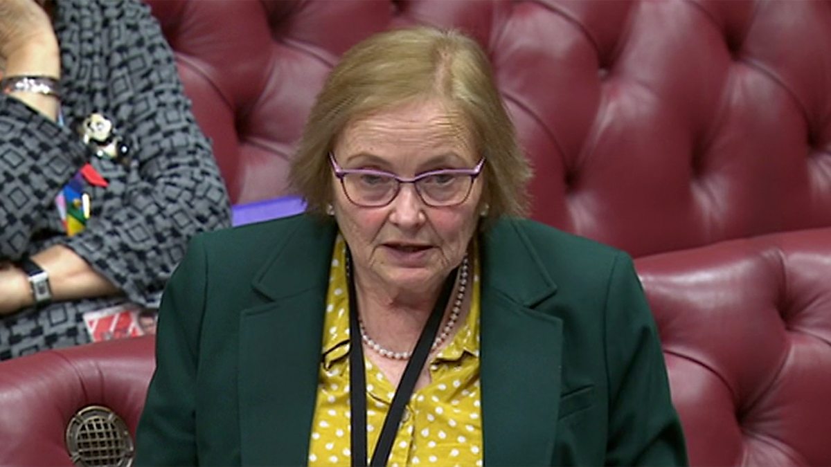 House of Lords - Mental Health Bill, Part 2 - BBC iPlayer