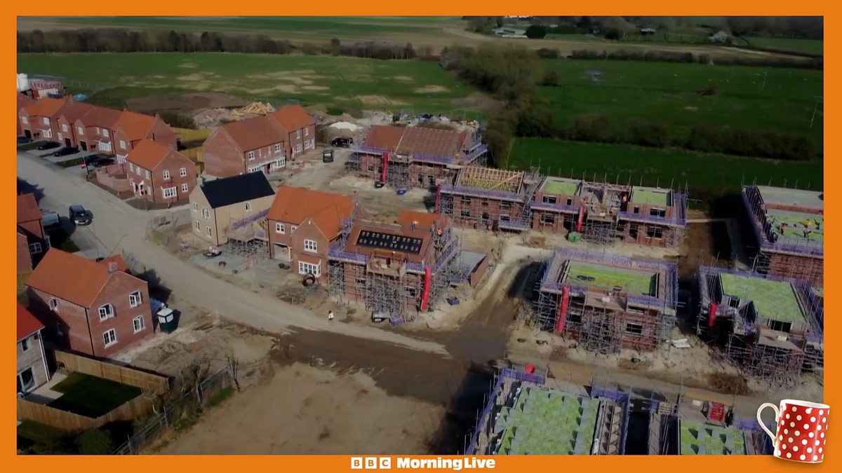 BBC One - Morning Live, SNAGGING - WAYNE PERREY