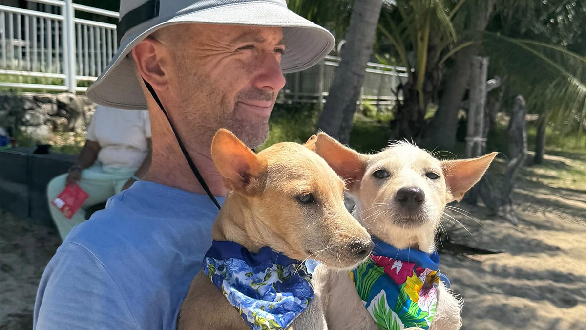 BBC World Service - Happy News, The Happy Pod: Saving Thailand’s street ...