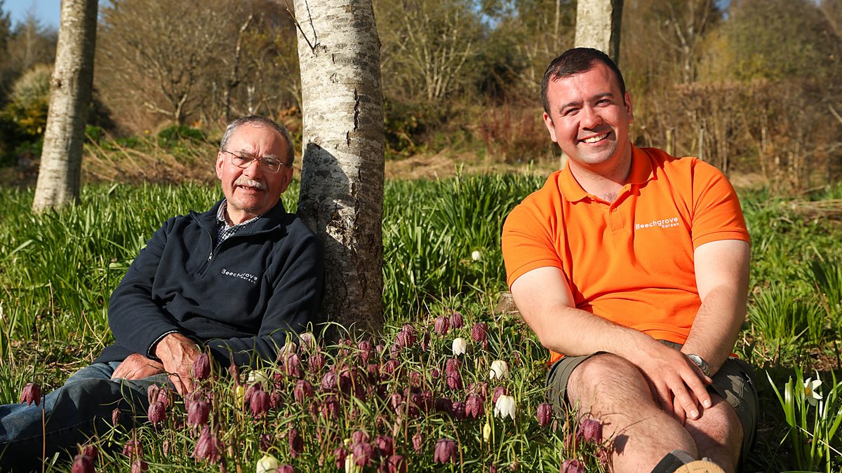 Beechgrove Garden - 2025: Episode 3 - BBC iPlayer