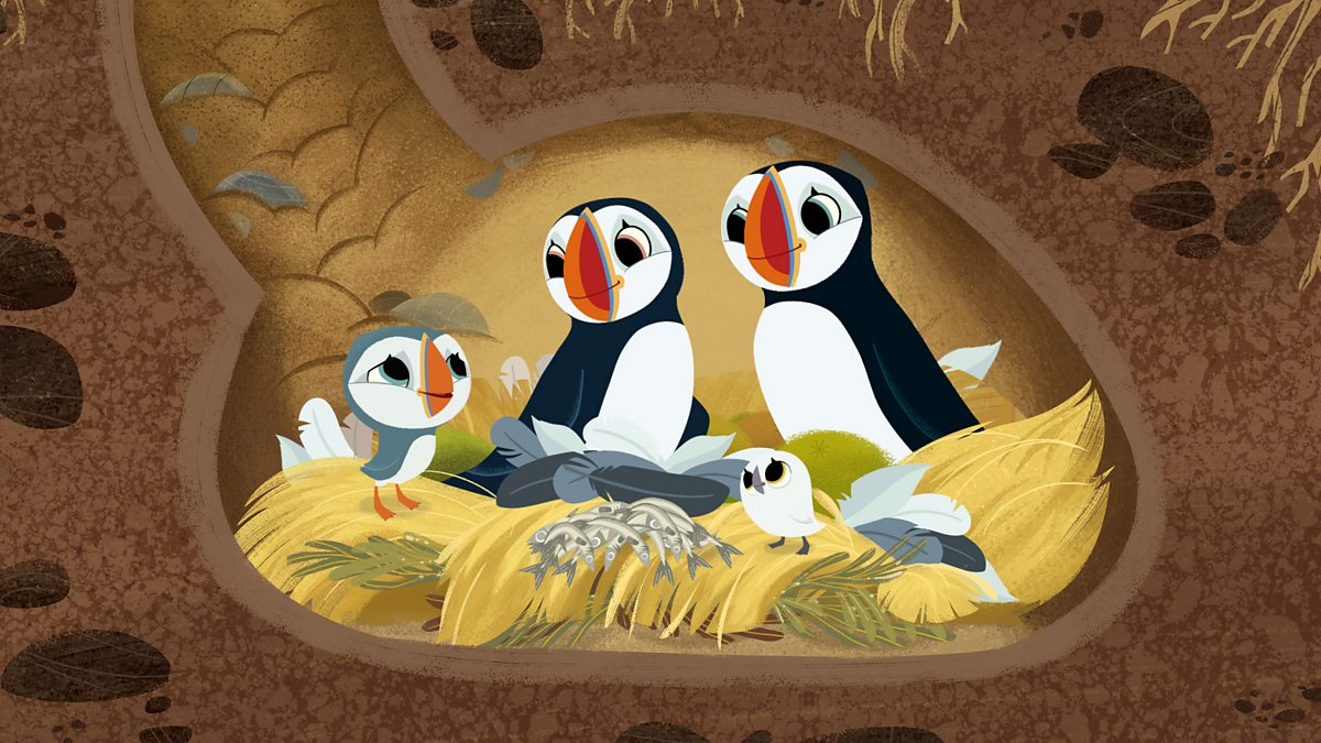 Puffin Rock - Series 2: 14. Oonas Fishing Trip - Audio Described - BBC ...
