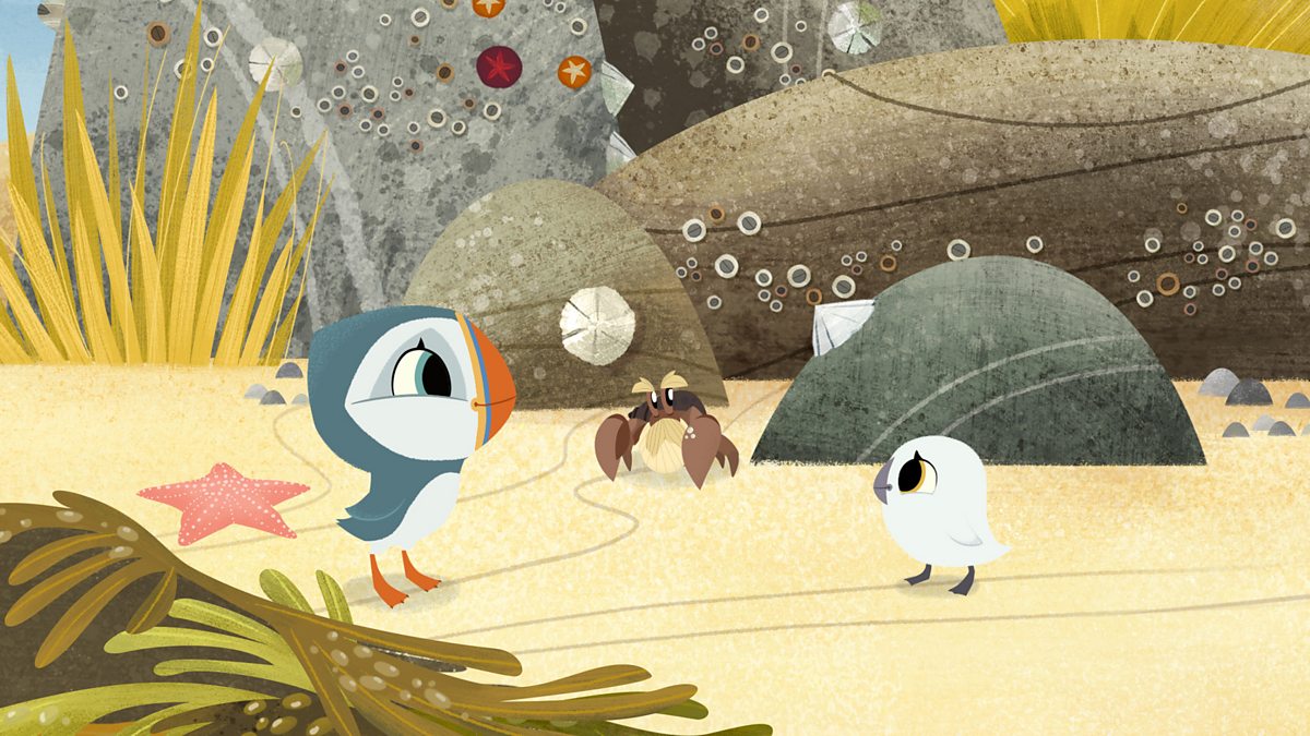 Puffin Rock - Series 2: 16. The Best Shell - BBC iPlayer