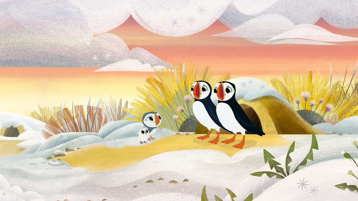 Puffin Rock - Series 2: 20. The First Snow - Signed - BBC iPlayer