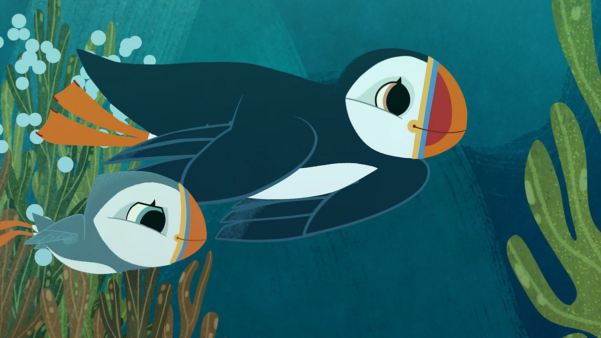 Puffin Rock - Series 2: 22. Just Like Mama - BBC iPlayer