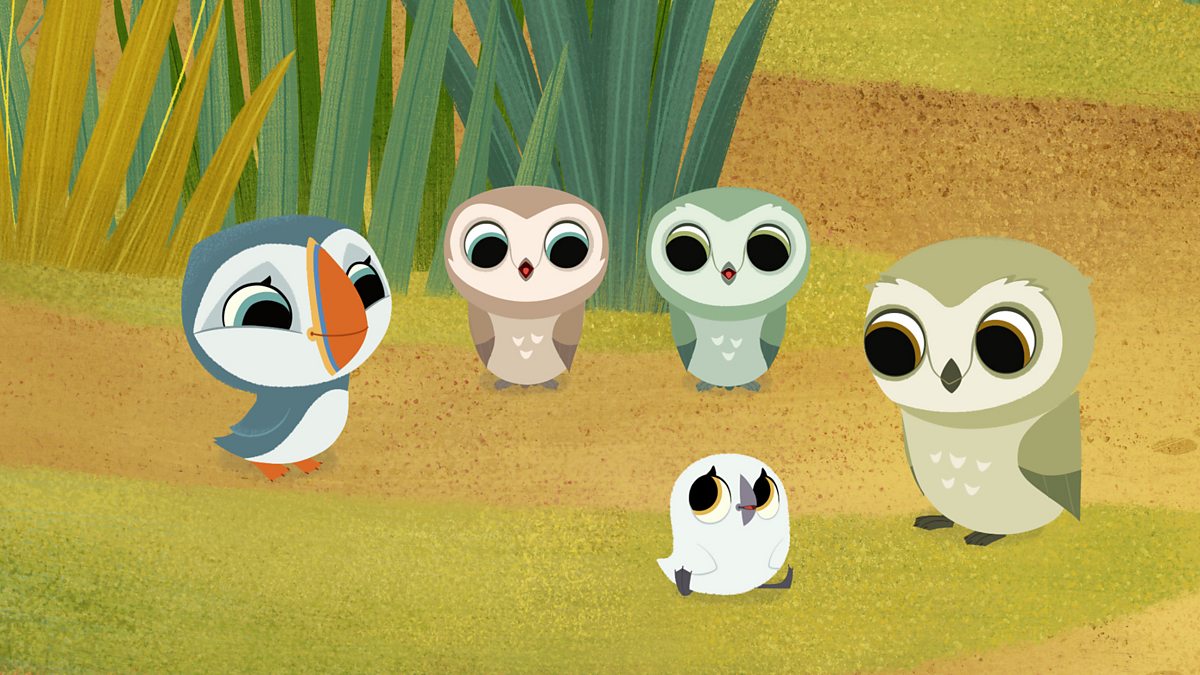 Puffin Rock - Series 2: 25. Owl School - BBC iPlayer