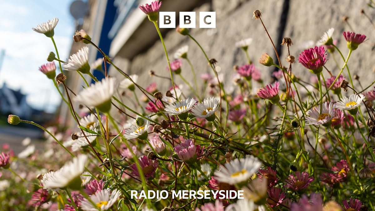 BBC Radio Merseyside - BBC Radio Merseyside, Discover the Caldy Open ...