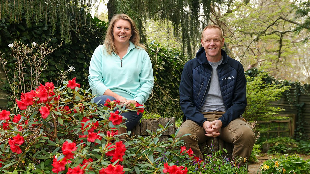 Beechgrove Garden - 2025: Episode 5 - BBC iPlayer