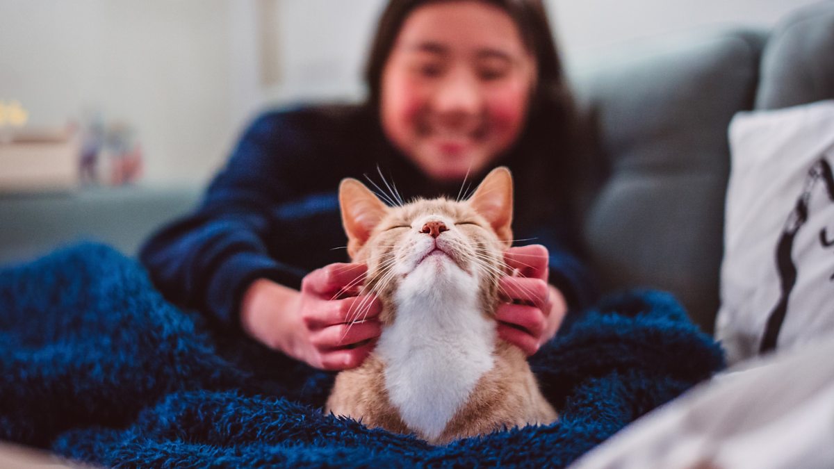 BBC Radio Newcastle - Gilly Hope on BBC Radio Newcastle, 03/05/2025 ...