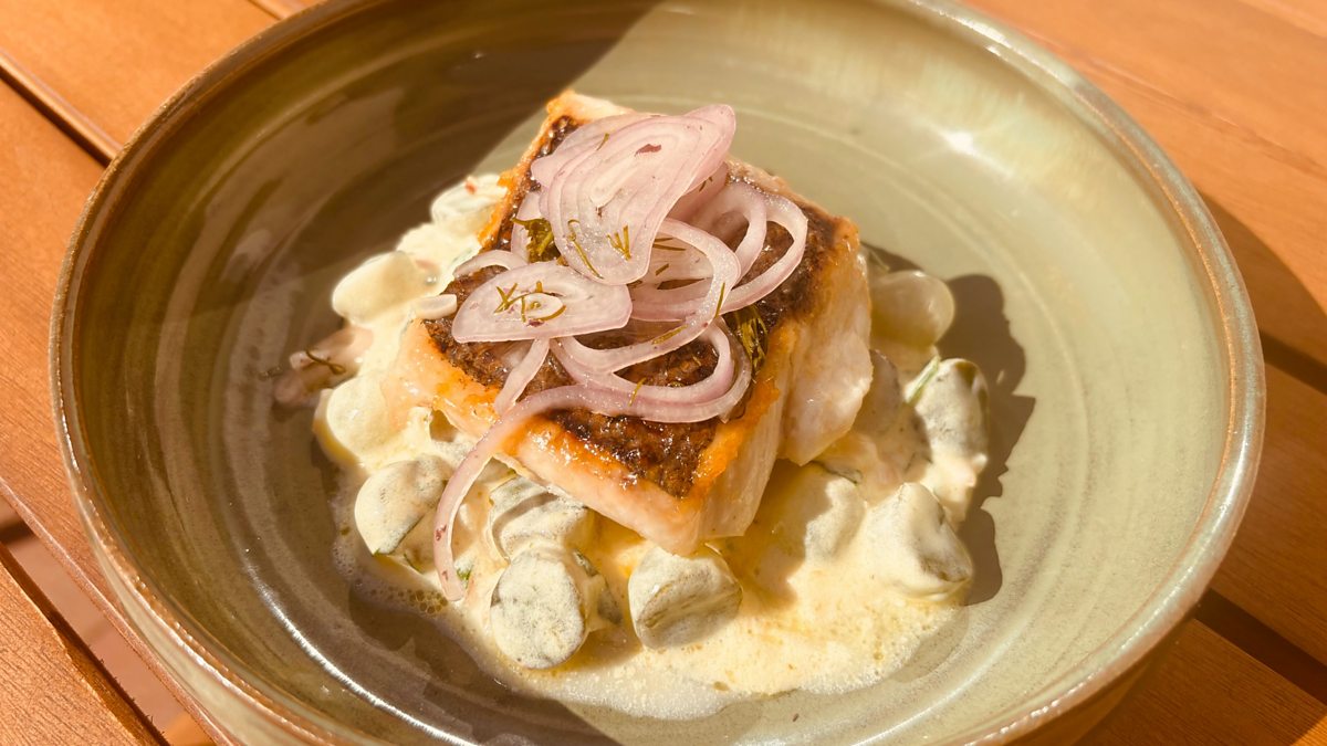 BBC Radio Ulster - Cooking with Paula McIntyre, Hake with Cucumber and ...