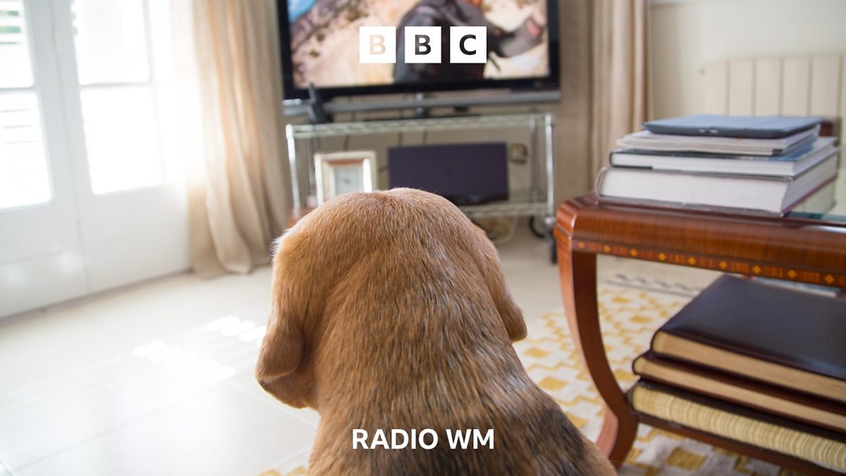 BBC Radio WM - BBC Radio WM Special, History Of TV In The West Midlands ...