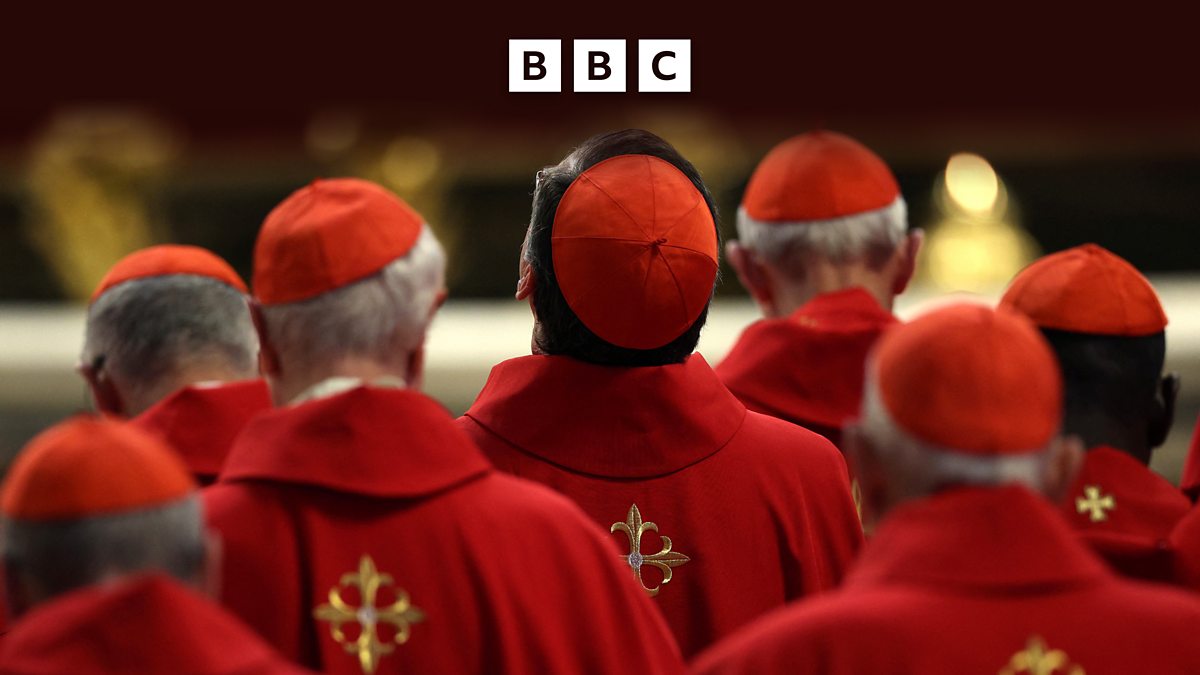 BBC World Service - The Documentary Podcast, Conclave: How will the ...