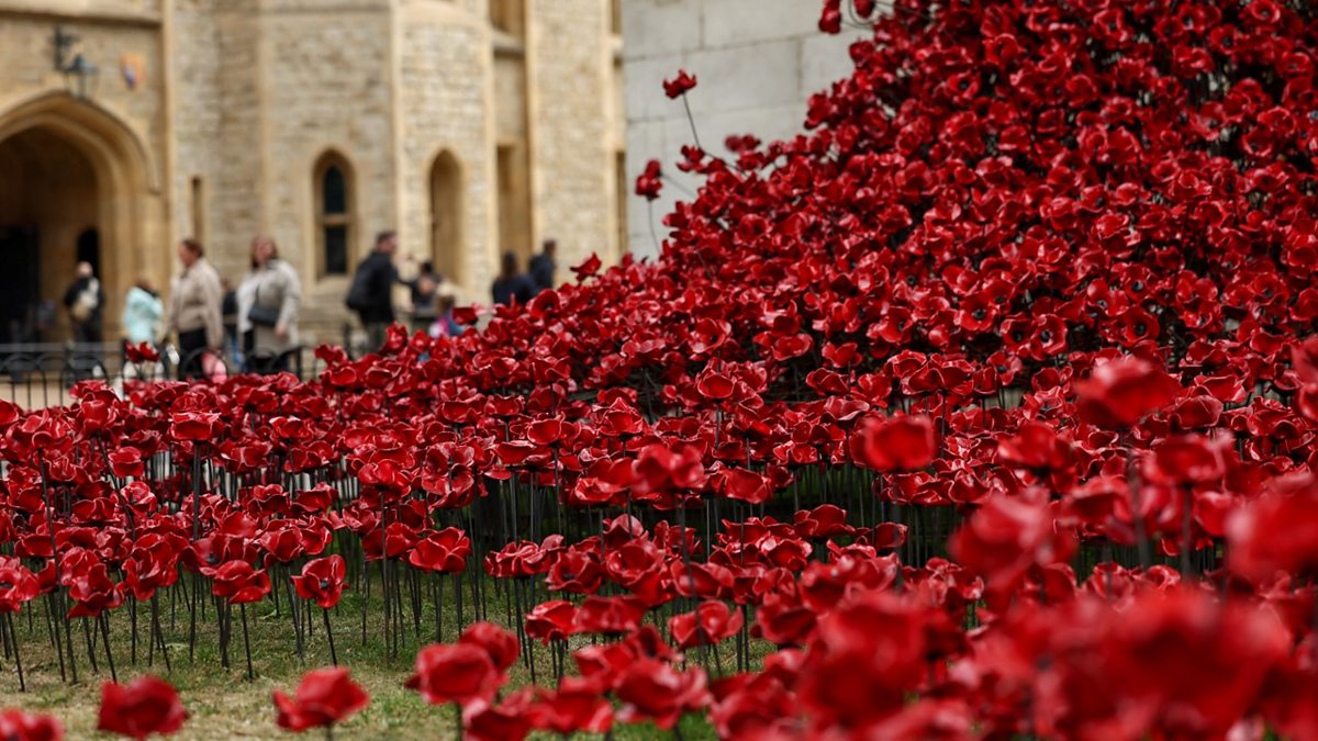 BBC News - Poppy Installation Marks VE Day