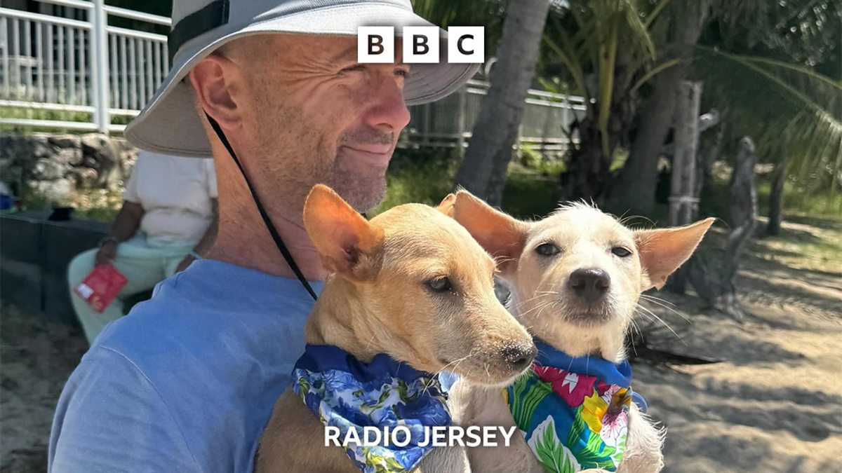 BBC Radio Jersey - BBC Radio Jersey, Saving street dogs in Thailand