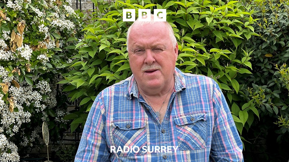 BBC Radio Surrey - BBC Radio Surrey, 'I speak on the shoulders of 80 dead boys'