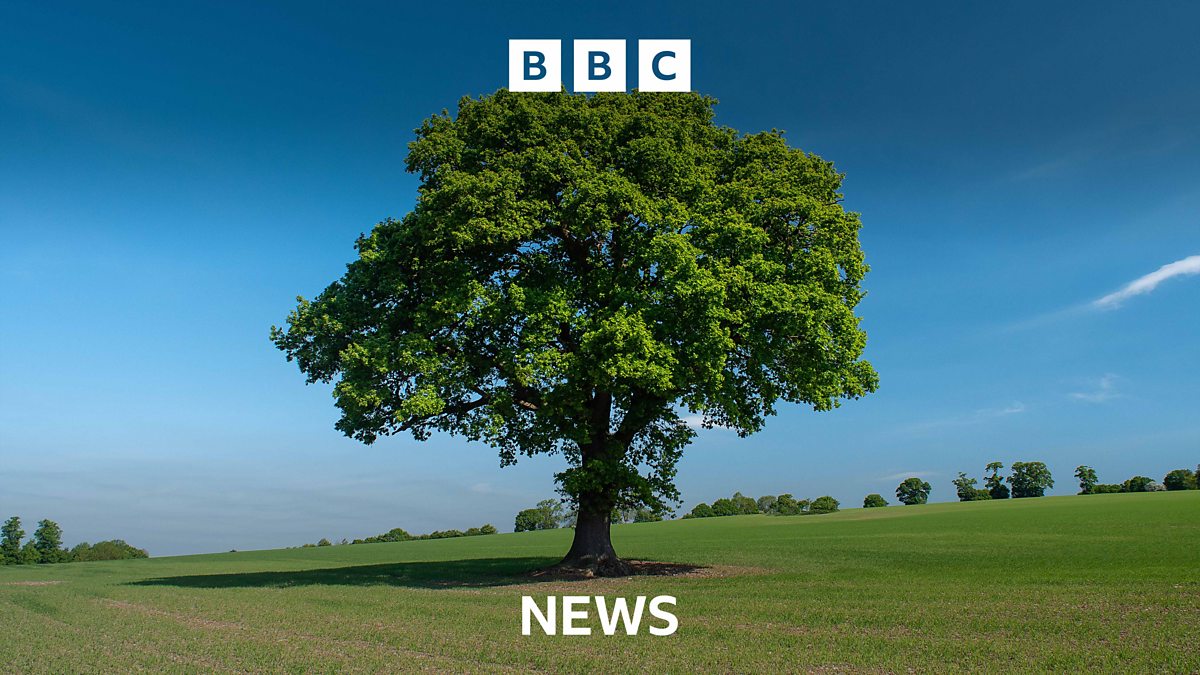 BBC Radio 2 - Jeremy Vine, Jeremy Vine, Family trees: 'I found out my ...