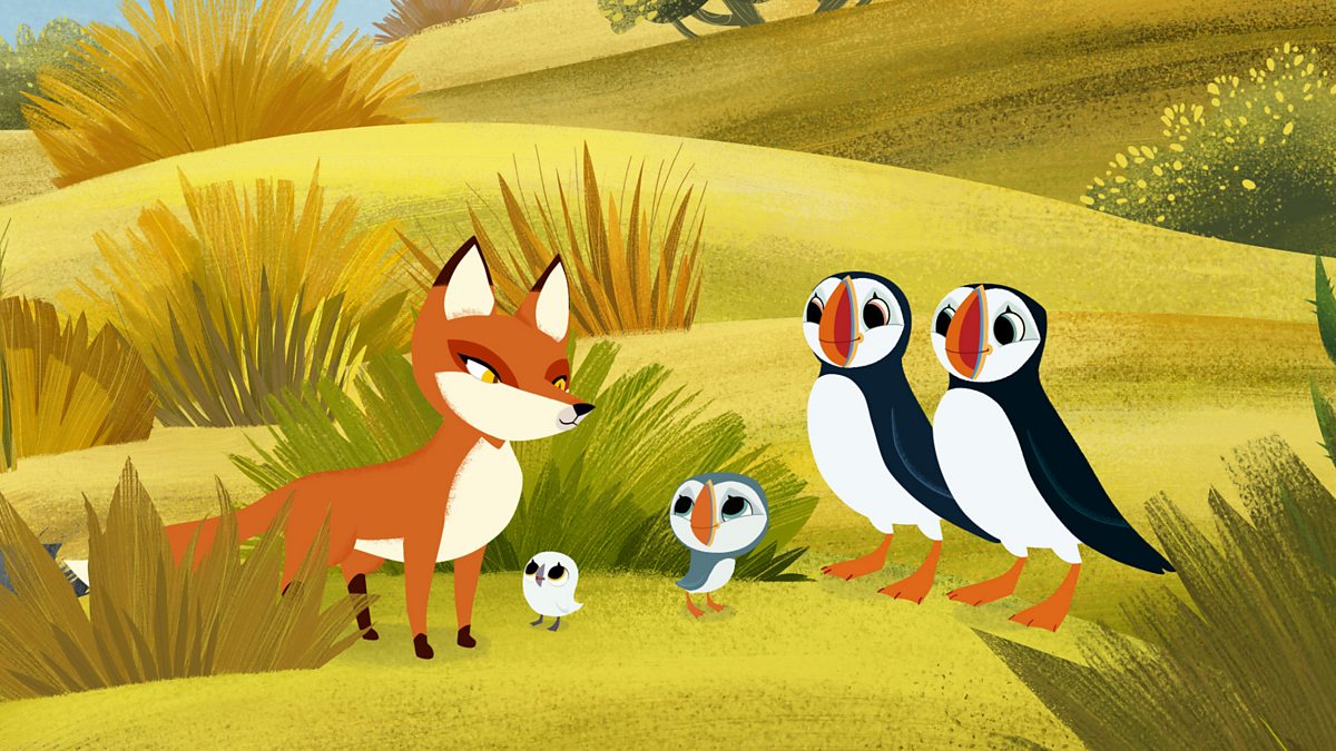 Puffin Rock - Series 2: 32. New Neighbours - BBC iPlayer