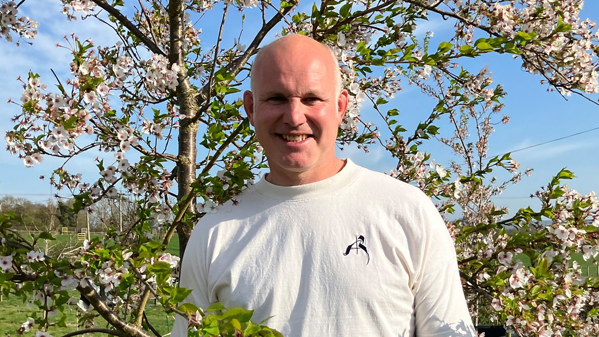 BBC Radio 4 - On Your Farm, Green Shoots from the Ashes